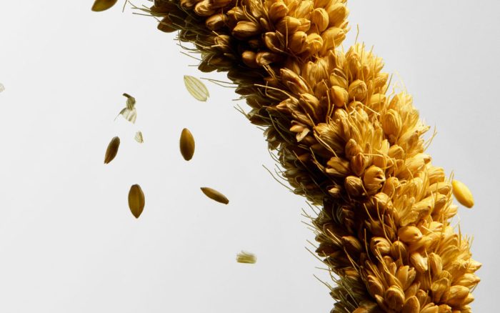 ISALT, Investissements Stratégiques en Actions Long Terme