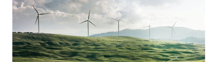 ISALT, Investissements Stratégiques en Actions Long Terme